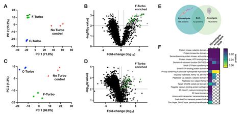 Proximity Proteome Analysis Identifies Flagellar Enriched Proteins In Download Scientific