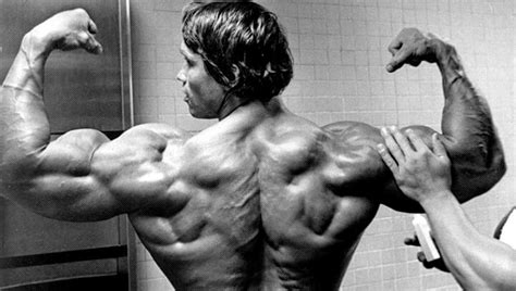 등운동 3가지 루틴 종류 방법 총정리 만물박사의 모든 정보