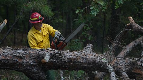 Scdot Scdot Added A New Photo