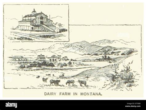 This 1891 Illustration Shows A Dairy Farm In Montana Capturing The
