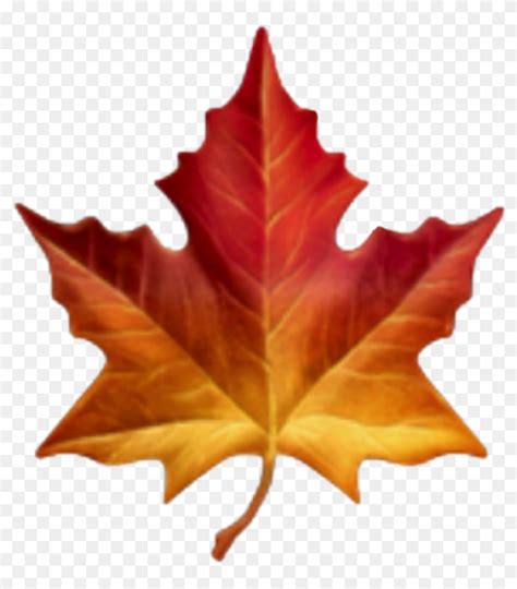 Maple Leaf Emoji Png Download Apple Maple Leaf Emoji Transparent Png 1024x1120 6911792