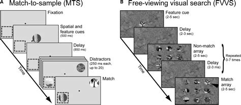 Visual Search Array Following Example Shows How To Use Sort And