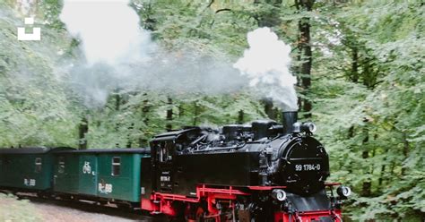 울창한 녹색 숲을 여행하는 기차 사진 Unsplash의 무료 증기 기관차 이미지