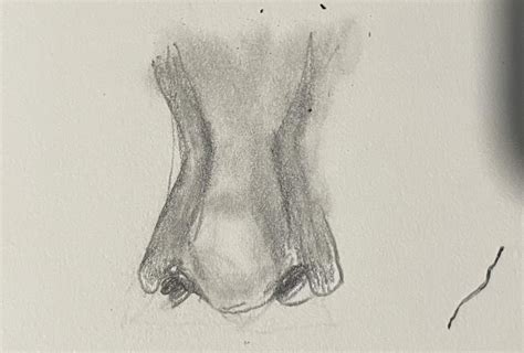 How To Draw A Realistic Female Nose