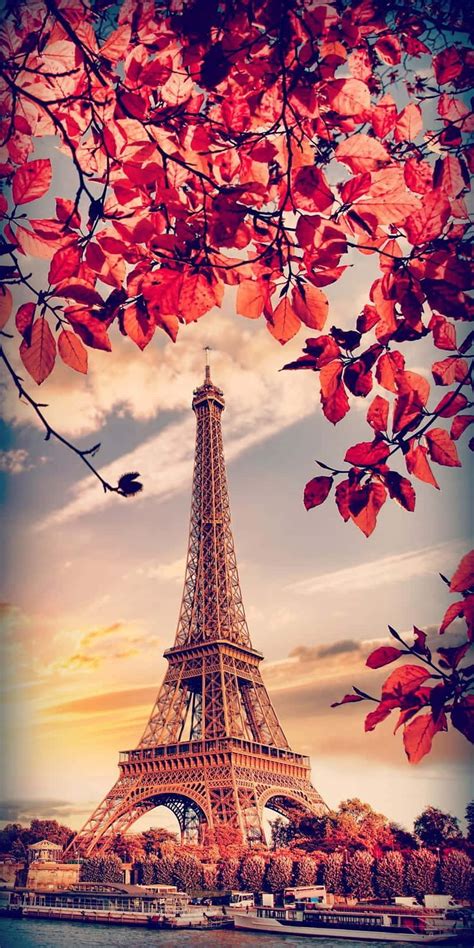 300 Paris Backgrounds