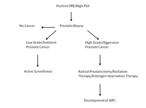 Prostate Cancer Diagnosis And Treatment Download Scientific Diagram