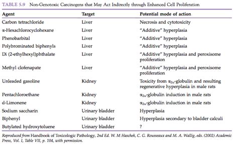 Carcinogen Examples