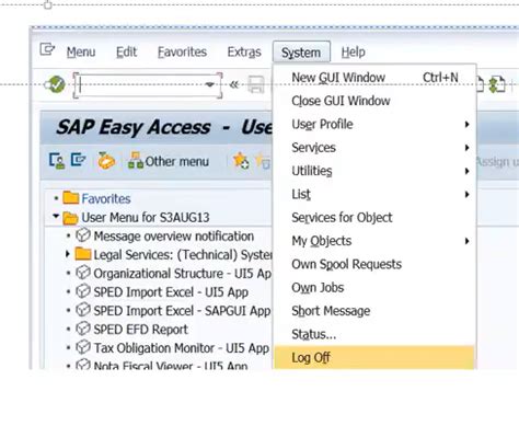 SAP Insights Navigating The Easy Access Screen Customization Tips And Project Overview