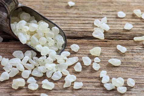 What Is Mastic Gum Healthier Steps