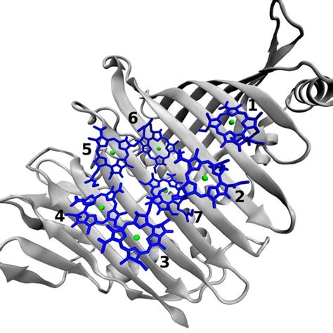 Top A All Trans Retinal B 6 S Cis 11 Cis Retinal In Blue Download Scientific Diagram