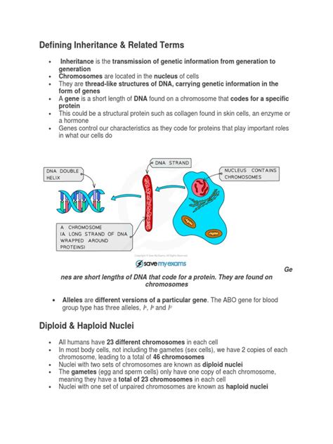 Chapter 17 Inheritance Igcse 0610 2023 Notes Pdf