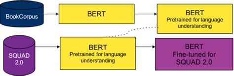 efficient bert finding your optimal model with multimetric bayesian optimization part 2