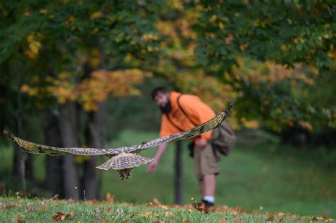 Rogue Detection Teams Finding Hearts In Nature Its Kinda Our Thing Do You Ever Find Heart