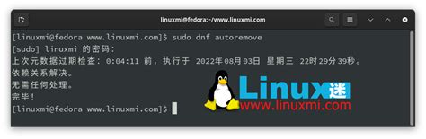 apt vs dnf vs yum：linux 包管理器比较 linux迷