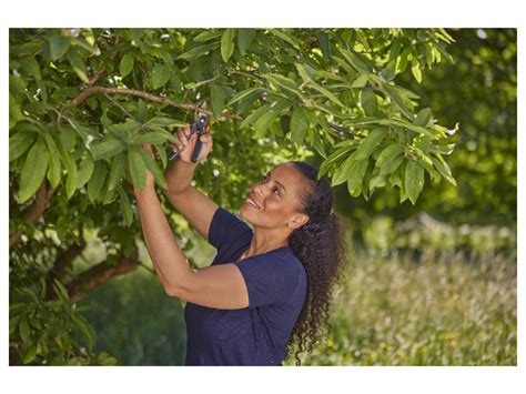 Snoeischaar Premiumcut Online Kopen Lidl