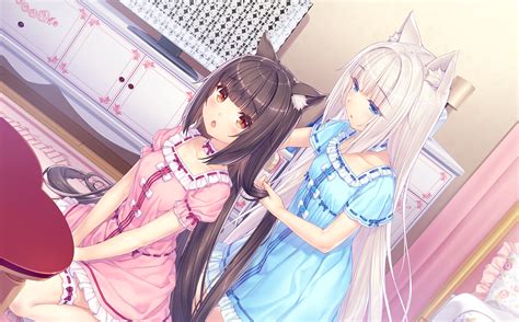 Nekopara Hd Maple Nekopara Hd Wallpaper Rare Gallery