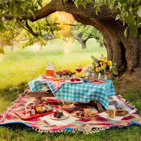 Premium Photo Picnic Setup With Orchard