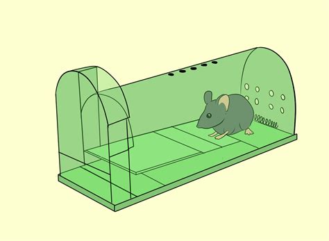 Mice Traps That Work