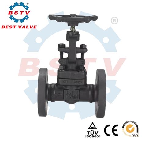 Forged Carbon Steel High Pressure Rating Astm Socket Weld Forged Globe
