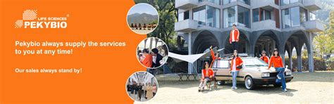 What Is Density Gradient Ultracentrifugation Blogs News