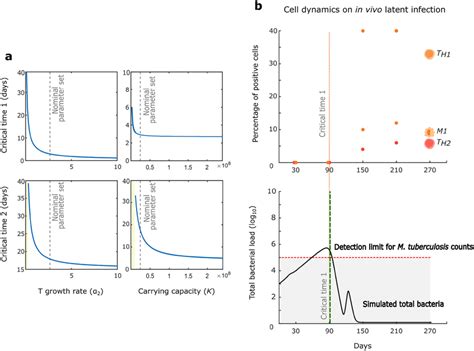 Parameter Variation Affects The Transitory State Of The Model A