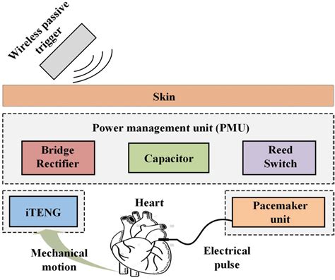 Block Diagram Of The Components Used In The Self Powered Cardiac Download Scientific Diagram