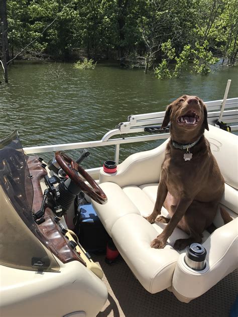 All Aboard Scrolller