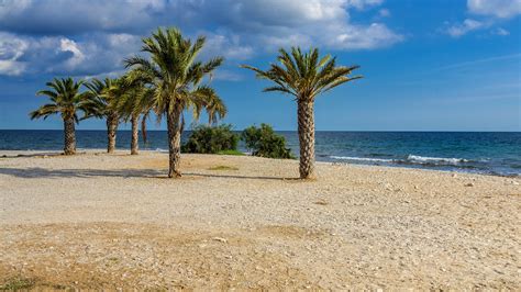 Free Images Landscape Sea Coast Nature Ocean Horizon Plant Sky
