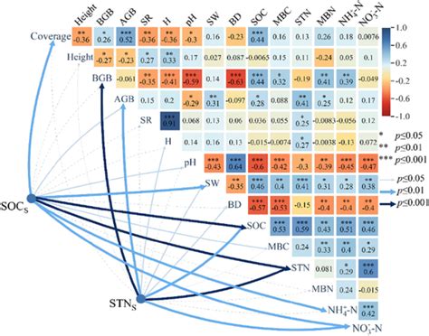 Coefficients Of Multiple Correlations Among Vegetation Characteristics