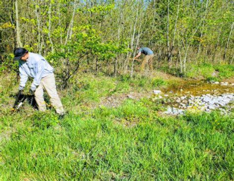 Education And Research Sam Shine Foundation