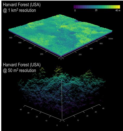 Reconsidering How We Measure Forests With Lidar Methods Blog