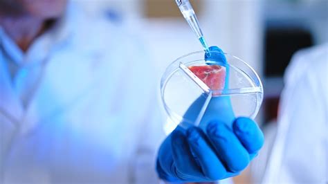 육류 샘플에 화학 물질을 추가하는 실험실 작업자 품질 테스트 Gmo 식품 생산 사람 조직에 대한 스톡 사진 및 기타 이미지 사람 조직 과학 실험 시료 사진 이미지