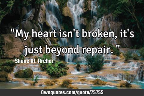 My Heart Isnt Broken Its Just Beyond Repair