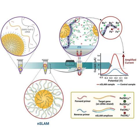 공대뉴스 Erica 공학대학