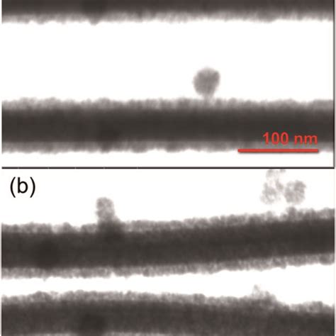 Absorbance Spectra Of Core Shell Ag Sno2nws Obtained A Without And