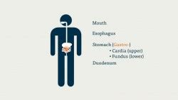 What Is The CPC Exam