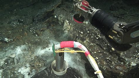 Deep Sea Sediment Sampling By Mbari Cores Which Could Not Penetrate The Download Scientific