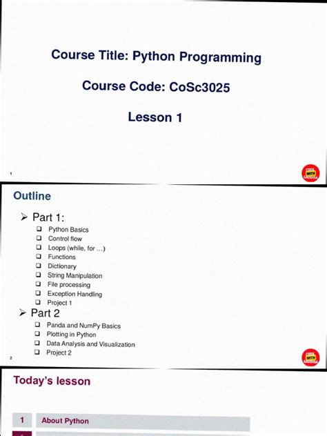 Lesson 1 Python Basics Pdf