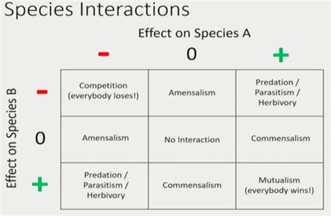 Species Flashcards Quizlet