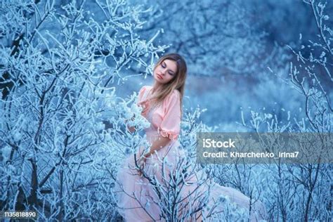 차가운 얼음 겨울 숲에서 긴 밝은 분홍색 부드러운 드레스에 카메라에 대 한 금발 머리 포즈 예쁜 레이디 부드러운 무성 한 흰 눈이 가지에 거짓말 귀여운 님프 처럼 서 리