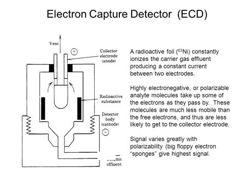 Gc Detectors Ideal Detector Characteristics 1 Universal Response Ppt Video Online Download