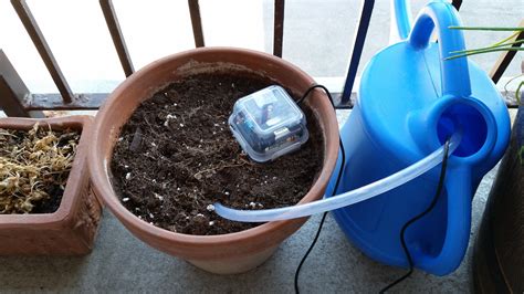 arduino mkr 1000 plant monitor project share the internet of thinger