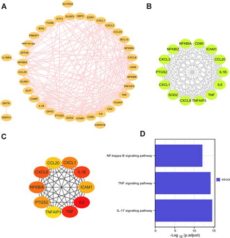 Ppi Networks Of Degs A The Ppi Network Of Degs Was Constructed Using