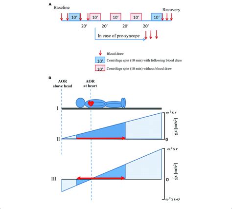how to draw schematic diagram of heart circuit diagram