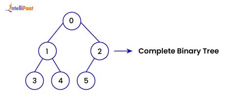 Binary Tree In Data Structure Examples Types And Methods