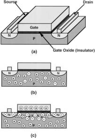 The Evolution Of The Microprocessor Part 1 Ravantech