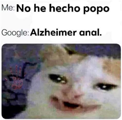 Gatito Lloron Memes