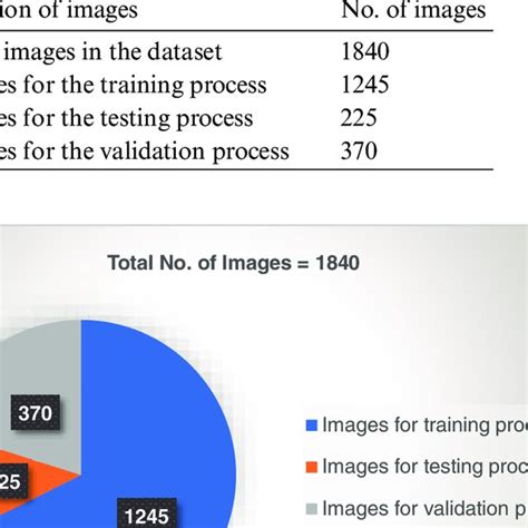 Graphical Representation Of Division Of Dataset Download Scientific