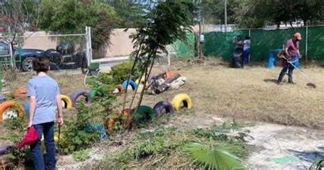 Con Edificios Limpios Y áreas Verdes En Buenas Condiciones Iniciará El Ciclo Escolar Diario