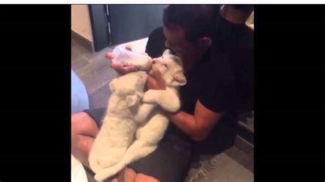 Cpsc 1105 Assignment 4 Youtube